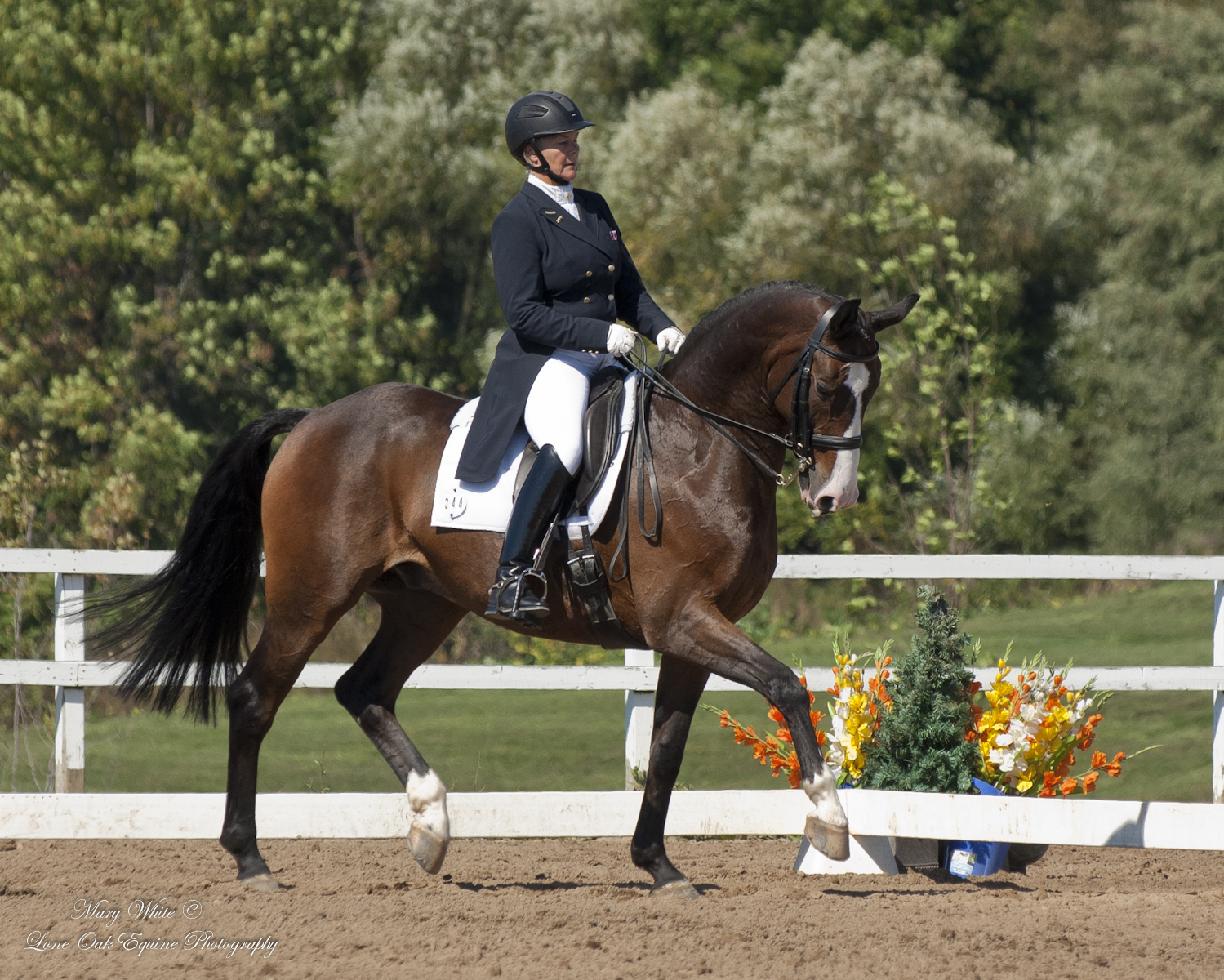 Canadian Eastern Regional Dressage Championships, Presented by Ogilvy